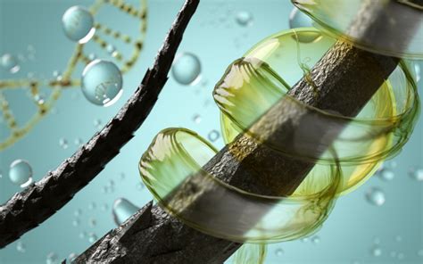 How To Use Hair Conditioner A Comprehensive Guide For Luscious Locks