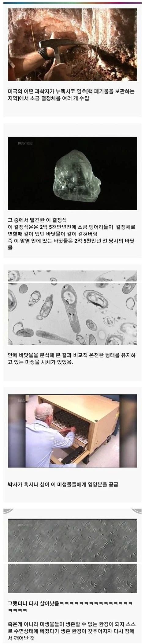 암염 안에 갇혀있는 2억5천만년전의 바닷물 같이 볼래