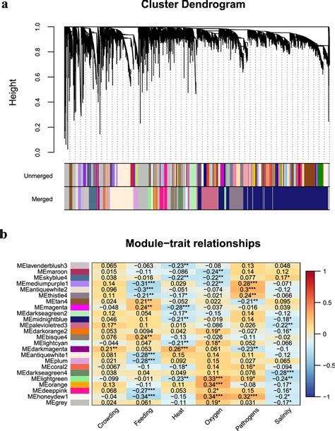 Gene Co Expression Network Analysis Of Different Stresses A Cluster Download Scientific