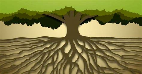 重設根目錄 Html 教學 Steam 教育學習網