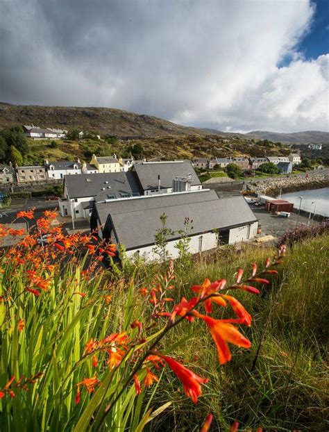 2025年9月tarbert旅游景点攻略 Tarbert旅游住宿 Tarbert旅游美食 猫途鹰