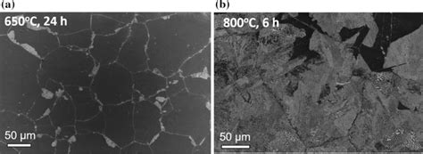 Sem Micrographs Of The Microstructure Of Nicr Alloy Aged For A 24 H At