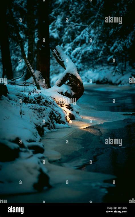 Stream With Tree Hi Res Stock Photography And Images Alamy