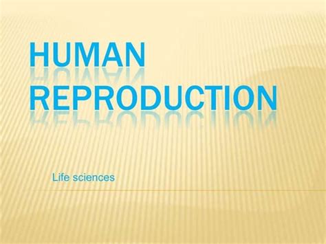 Human Reproduction Pptx Class Xii Biology Ppt