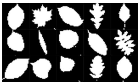 Scn A Novel Shape Classification Algorithm Based On Convolutional Neural Network