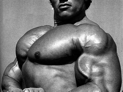 Arnold Schwarzenegger Hd Wallpapers Wallpaper Cave