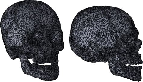 Model Obtained After Assembly Operations Download Scientific Diagram