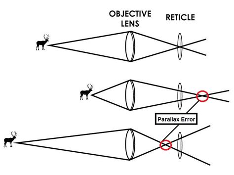Rifle Scope Parallax Explanation At Donald Harding Blog
