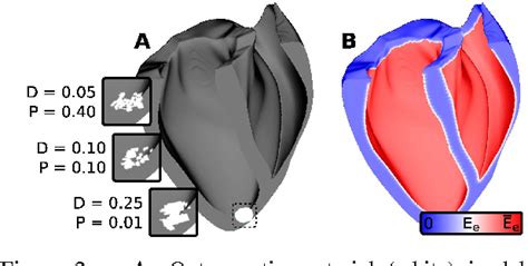 Figure 2 From A Computational Framework For Simulating Cardiac
