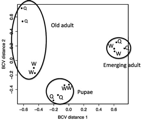 Multidimensional Scaling Plot Showing Transcriptional Similarity Download Scientific Diagram