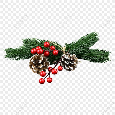 파인 리프 파인 콘 로즈 힙 콤비네이션즐거움소나무 잎 Png 일러스트 무료 다운로드 Lovepik