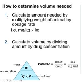 Calculating Drug Dosages Flashcards Quizlet