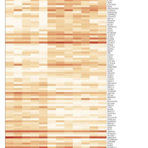 Bioinformatics Analysis Results A Volcano Map Of Gene Expression In