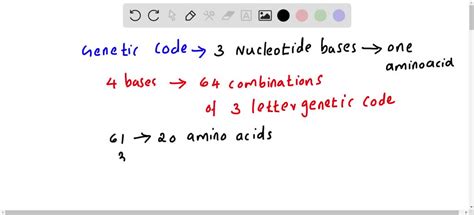 Solved Which Statement Best Explains Why There Are 64 Possible Codons In The Genetic Code And
