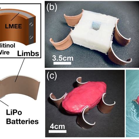 Design And Geometry Of The Untethered Frog‐inspired Soft Robot A