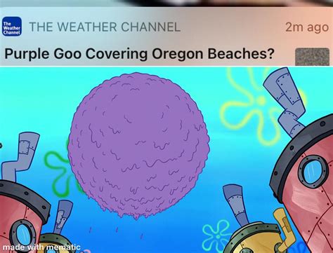 Could It Be R Bikinibottomtwitter