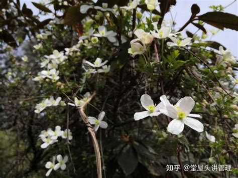 职场中，如何才能获得员工的尊敬和信任？