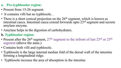 Detail Study Of Earthworm For Class 11 Neb B Pptx Geography Science