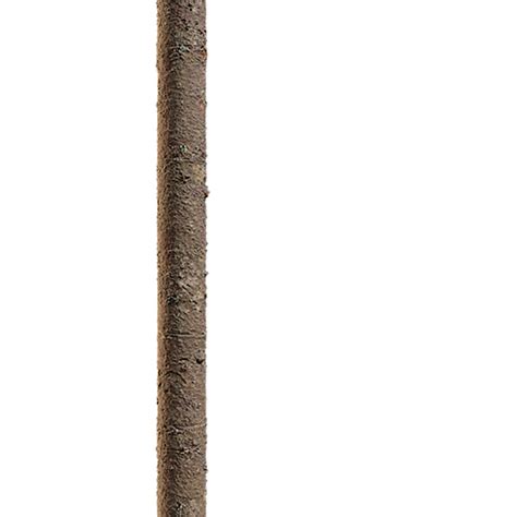 Artstation Branch Seamless Texture Patterns 2k 2048 2048 Exr 5  5 File Formats