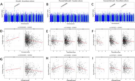 Results From The Genome‐wide Gwas And Genome‐wide By Environment