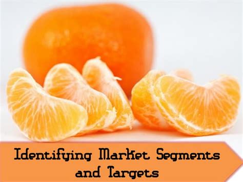 What Are The Requirements For Effective Segmentation Pdf Marketing