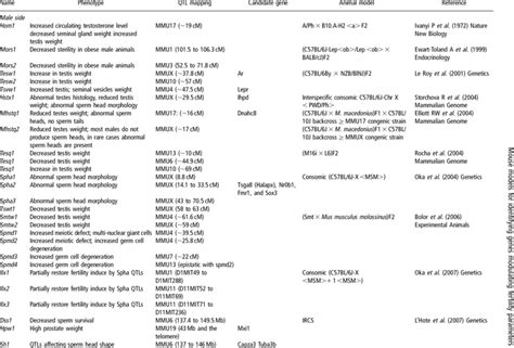 Quantitative Trait Loci Qtl Modulating Fertility Parameters In Mice