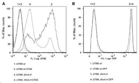 Flow Cytometry Analysis Of Cfse Stained A And Gfp Expressing B Download Scientific Diagram