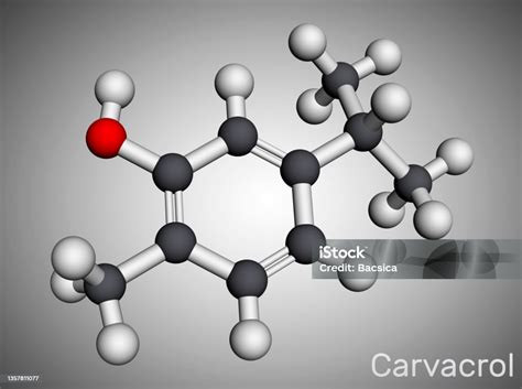 카바크롤 시모페놀 분자 그것은 사이멘의 천연 모노 테 르펜 유도체 세균 성장억제제 식품 첨가물로서 사용된다 분자 모델 3d