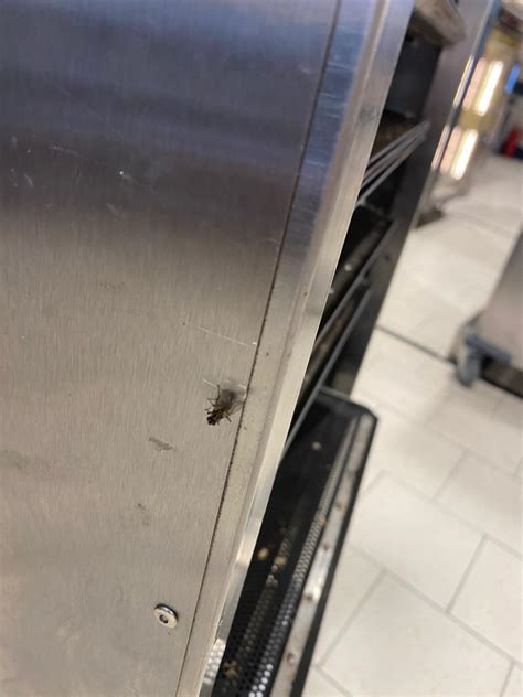 Magazin Lidl închis de Protecția Consumatorilor pentru nereguli de igienă inclusiv prezența