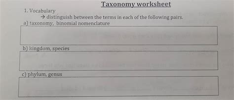 Solved Taxonomy Worksheet 1 Vocabulary Distinguish Between The Terms In Each Of The Following