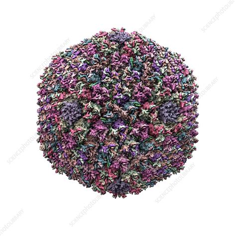 Adenovirus Particle Artwork Stock Image C021 0569 Science Photo Library