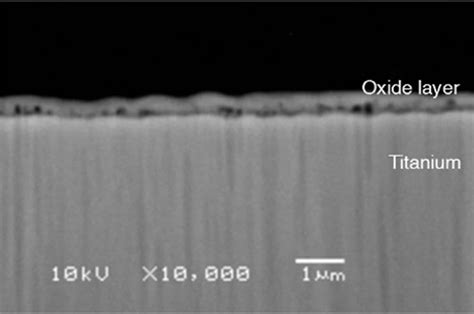 Titaniums Corrosion Resistance Comprehensive Analysis Of Various Media Chalco Titanium