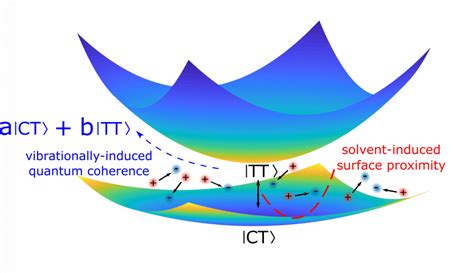 Controlling Coherence In Singlet Fission The Musser Research Group