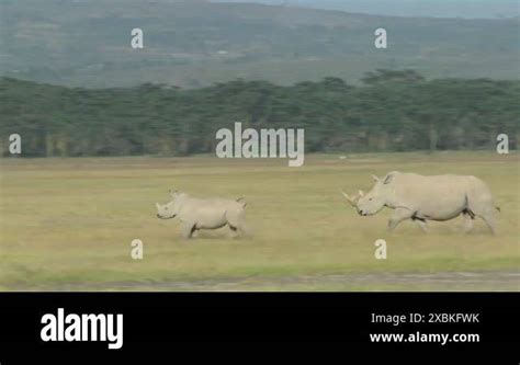 Cross Plain Stock Videos And Footage Hd And 4k Video Clips Alamy