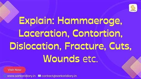 लिंग Gender और सेक्स Sex के बीच अंतर Bed Notes