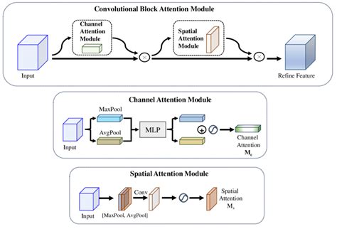 The Architecture Of Cbam Cbam Is Composed Of Cam And Sam That Means Download Scientific