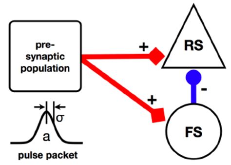Schematic Diagram Of The Model Circuit Download Scientific Diagram