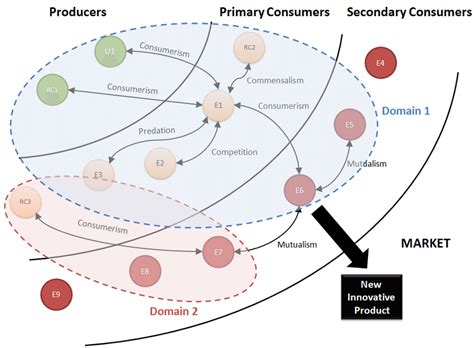 Knowledge Flow Mapped By Its Relationships Into Innovation Ecosystem