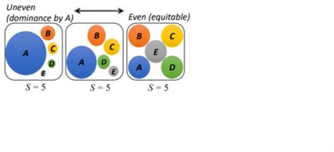 Lecture 12 Flashcards Quizlet