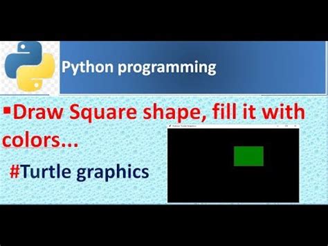 Draw A Square Fill It With Colors Python Turtle Graphics Youtube