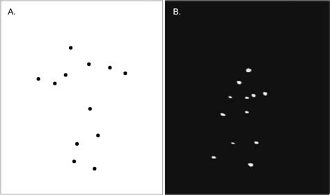 Example Point Light Animation Stimuli From A Basic Biological Motion Download Scientific