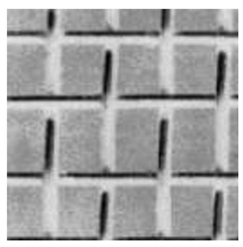 Image D1 Of Brodatz Database Download Scientific Diagram