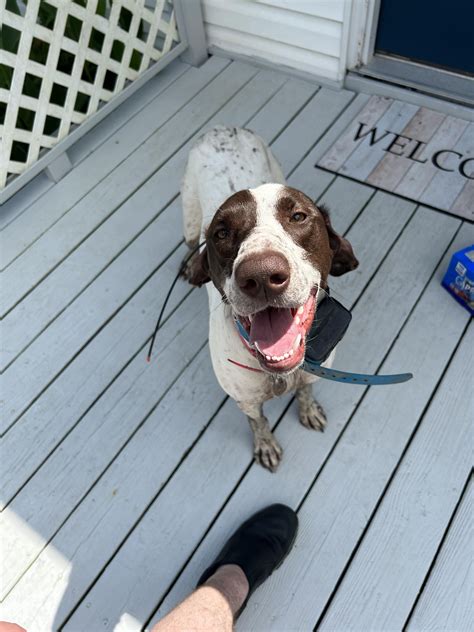 Just A Few Buddies Ive Encountered While On The Job Rdoordashdrivers