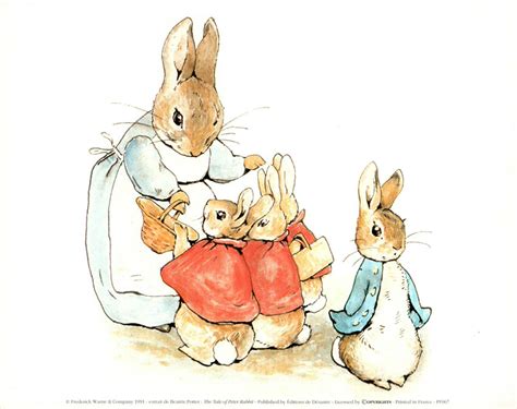Peter Rabbit Illustrations