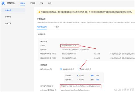 springboot对接支付宝沙箱支付 springboot接入支付宝沙箱 csdn博客