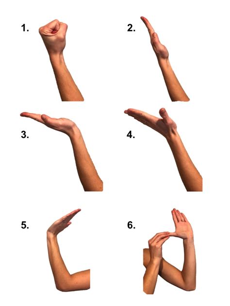 Occupational Therapy Nerve Glide Exercises At Leona Freedman Blog Occupational Therapy Nerve Glide Exercises At Leona Freedman Blog