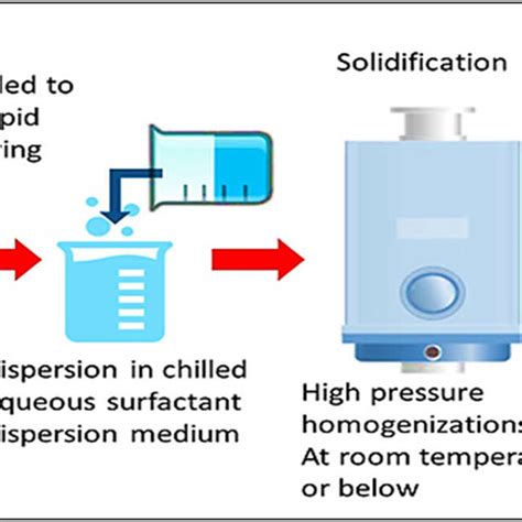 slns drug loading models typical release effects showing homogeneous