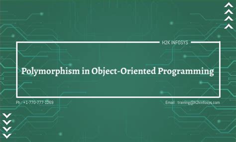 Polymorphism In Object Oriented Programming