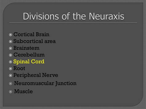 Ppt Localization In The Neuraxis Powerpoint Presentation Free Download Id 5110543