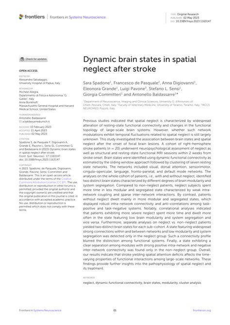 Pdf Dynamic Brain States In Spatial Neglect After Stroke